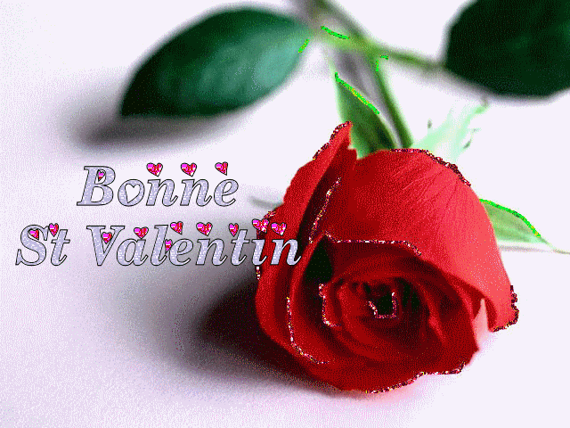 St Valentin ( a partager )